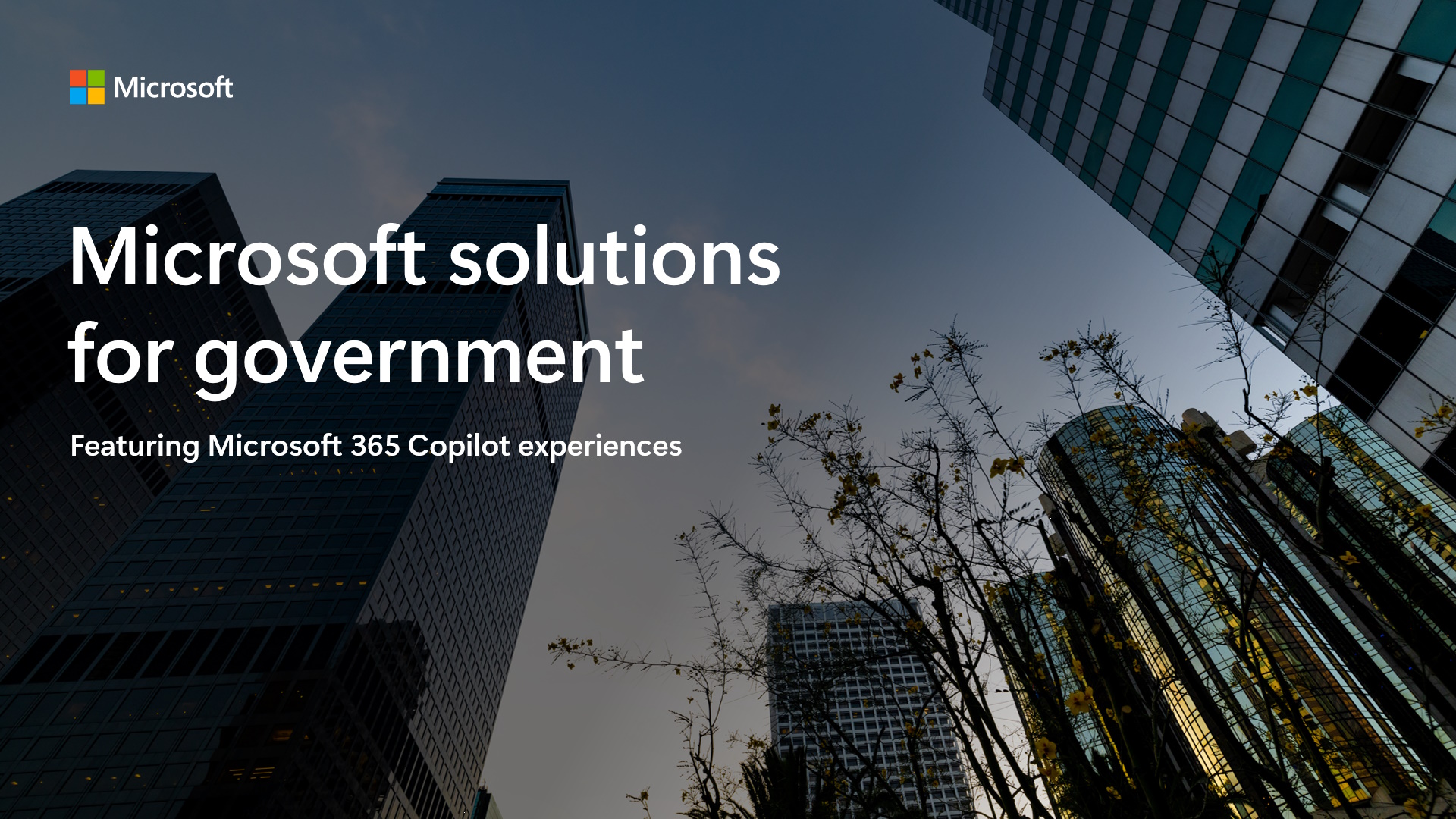 Microsoft solutions for government